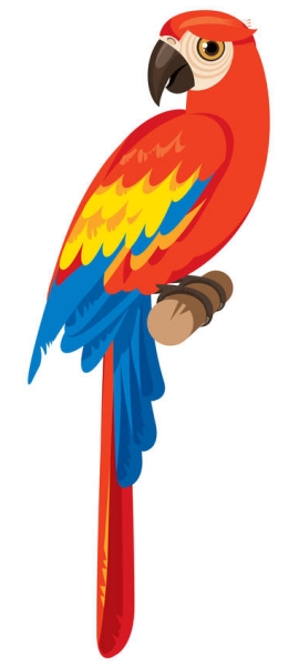 Guacamayas en Caracas | Origen e Historia | actualidad-24.com