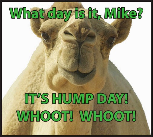 Bailey's Buddy: Happy Hump Day!