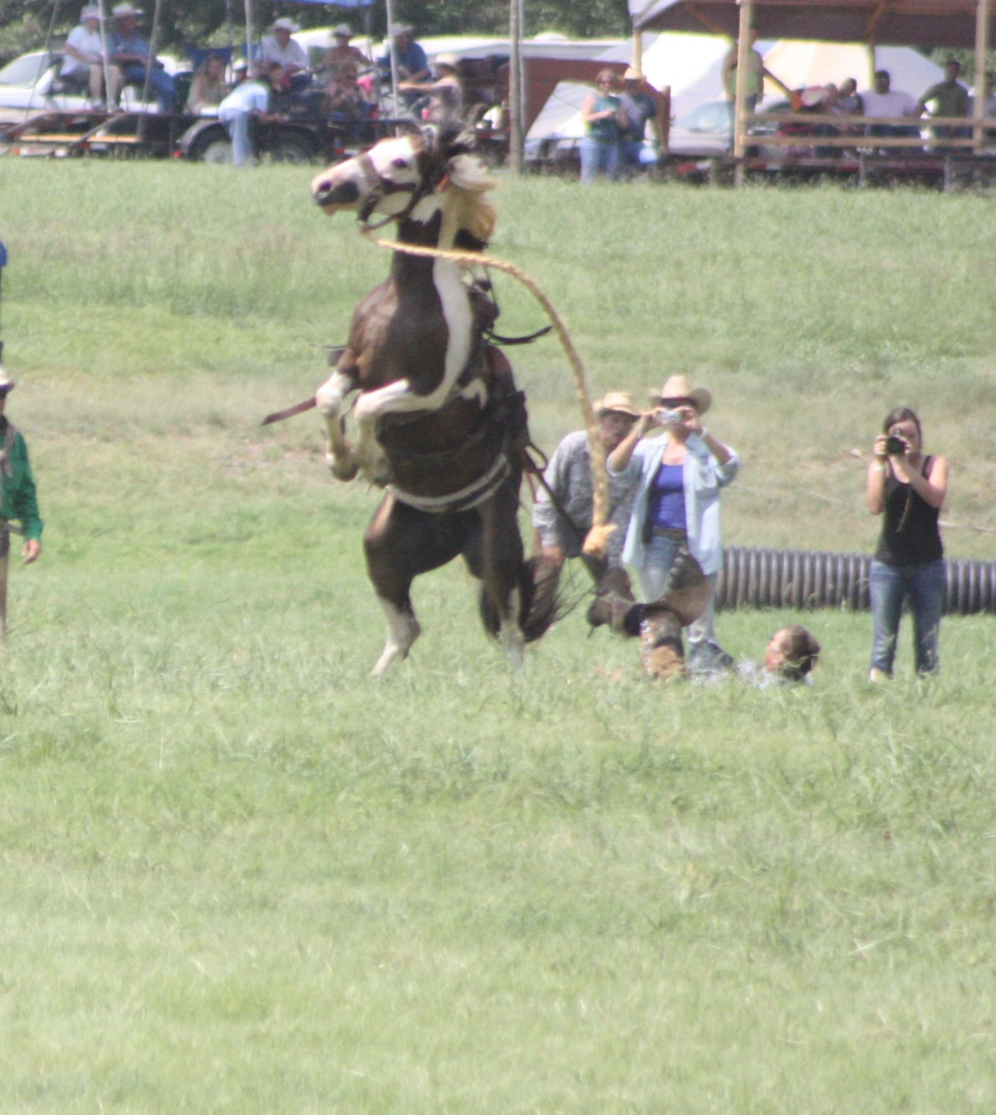 PairADice Mules: National Championship Chuckwagon Races Bronc Fanning