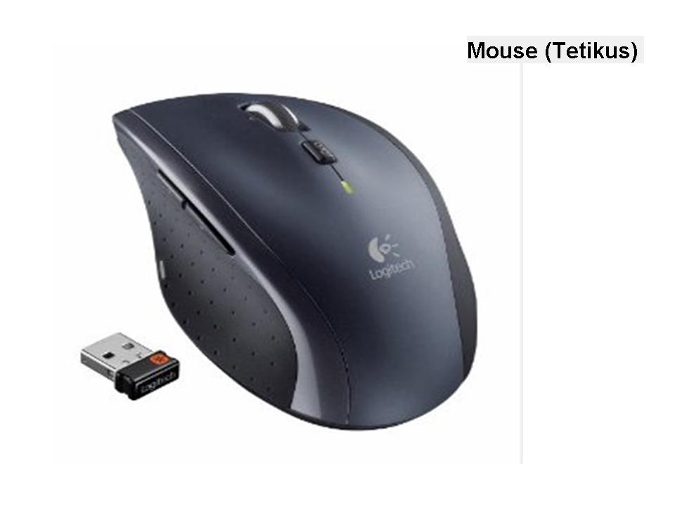 LITERASI KOMPUTER: MOUSE (TETIKUS)