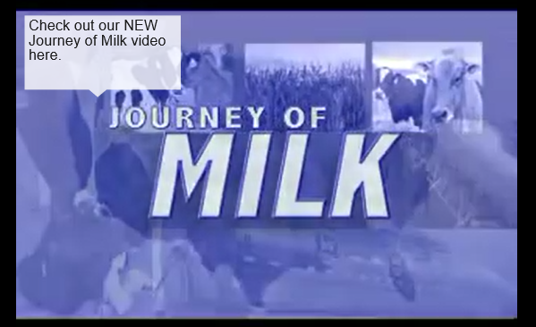 Hopping from K to 2!: Fun Farm Ideas