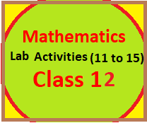 Maths Activities (11 to 15) Class XII