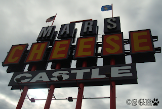 Hanging Out at the Cheese Castle - Golden Woofs