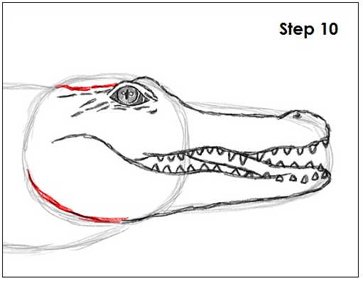 Cara Menggambar Buaya Mudah dan Lengkap - Point Opini | Penyedia Point ...