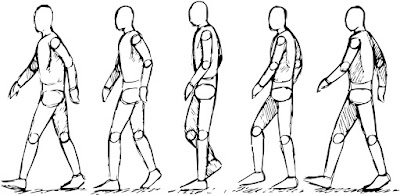 The Helpful Art Teacher: Cartooning and Animation 101: The walk cycle