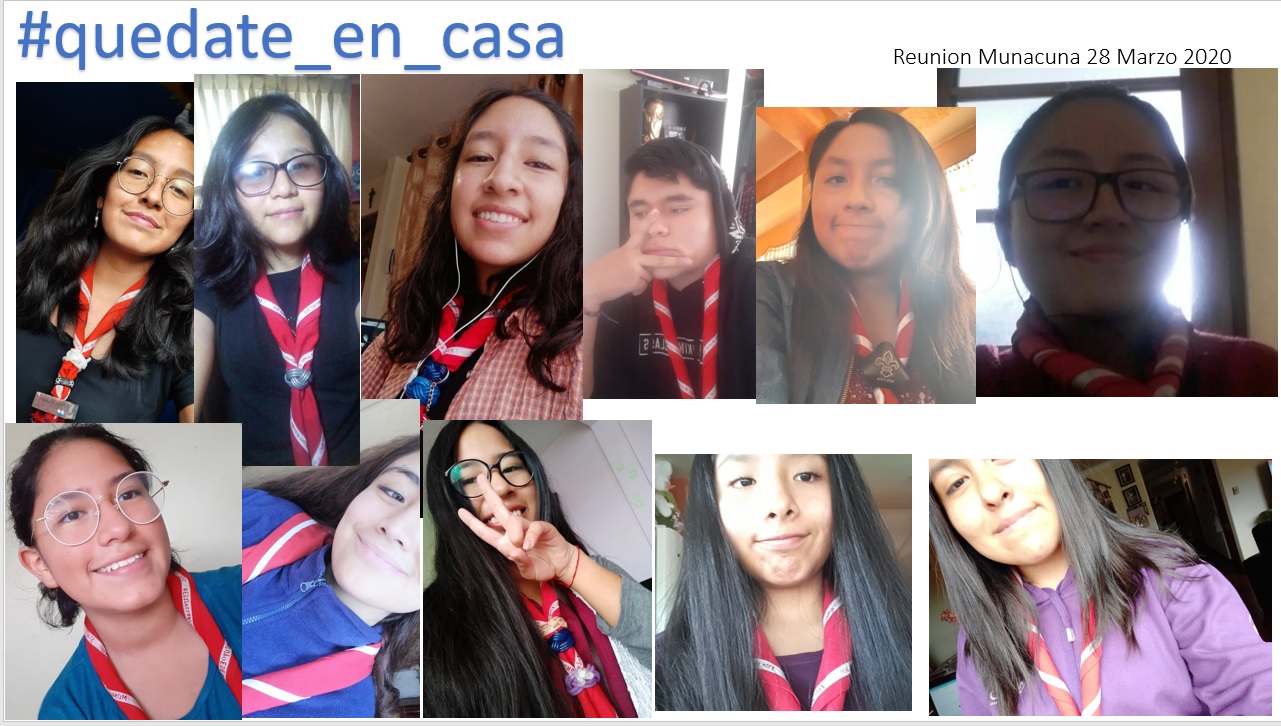 Pioneros Amerinst 301