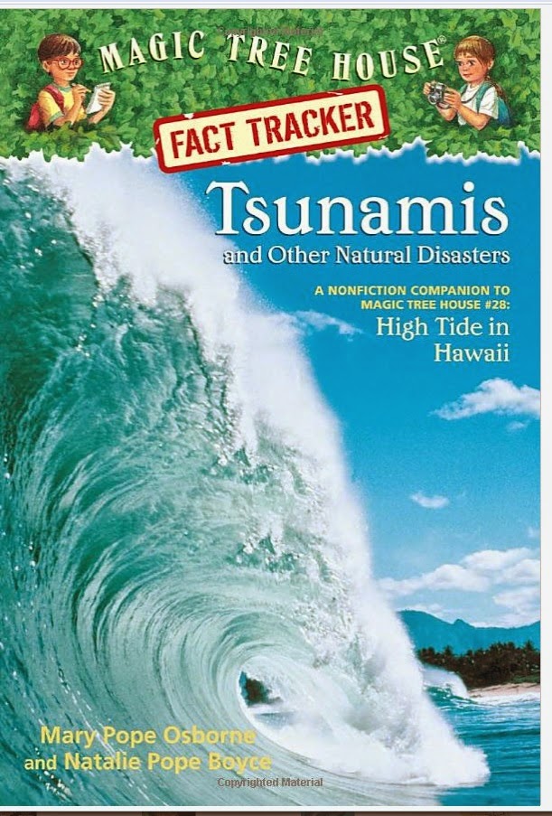 A Good Book: Tsunamis and Other Natural Disasters (A Nonfiction ...