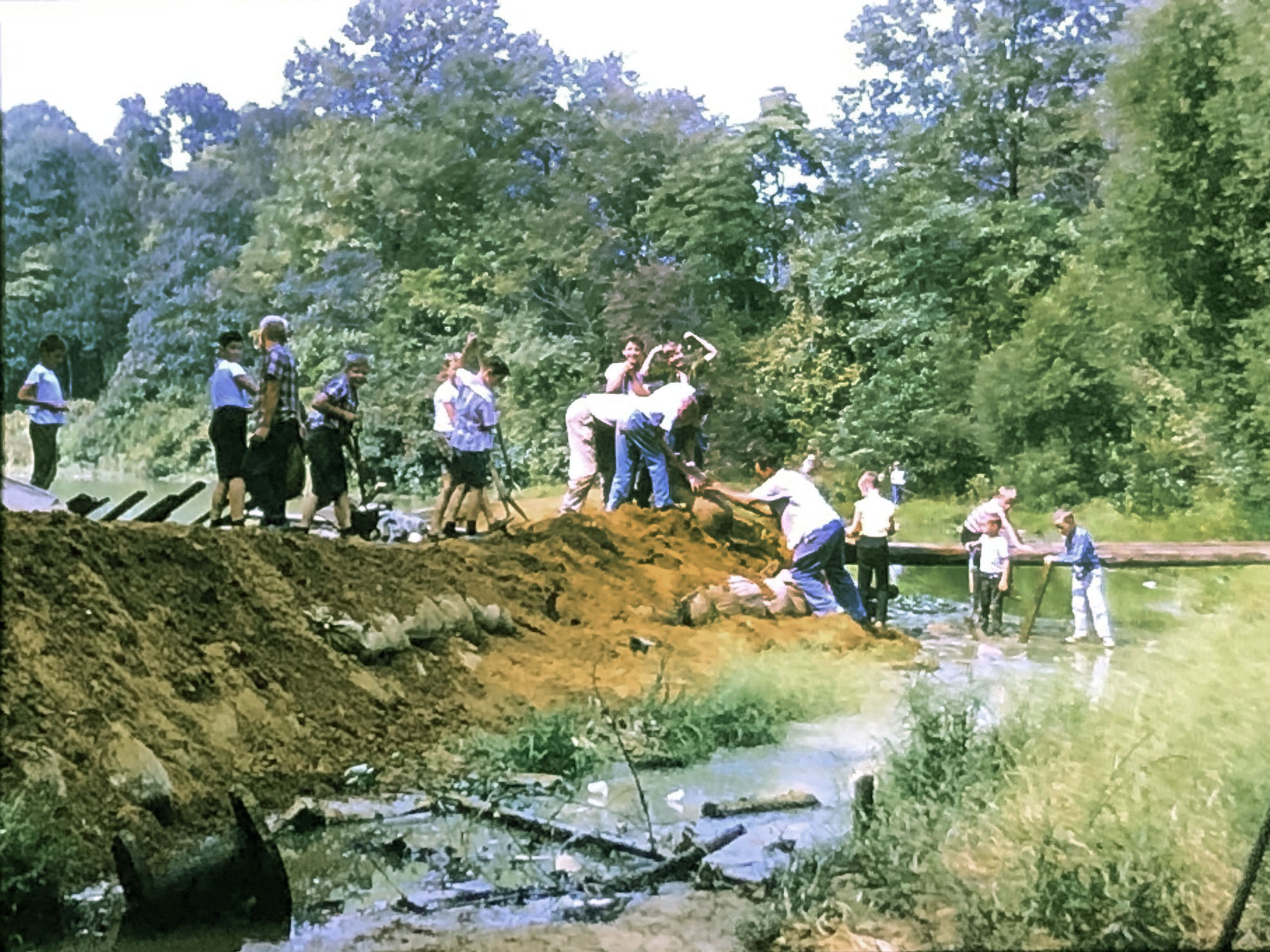 Reimagine Runnemede: Trail Restoration @ Runnemede Lake Park