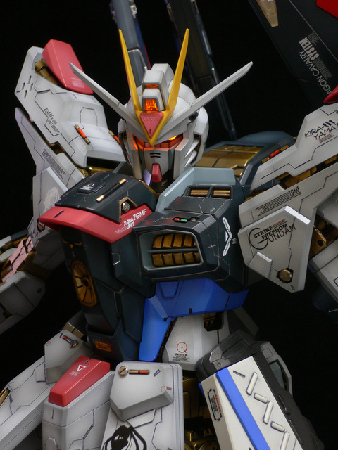 PG 1/60 Strike Freedom Gundam Custom Build