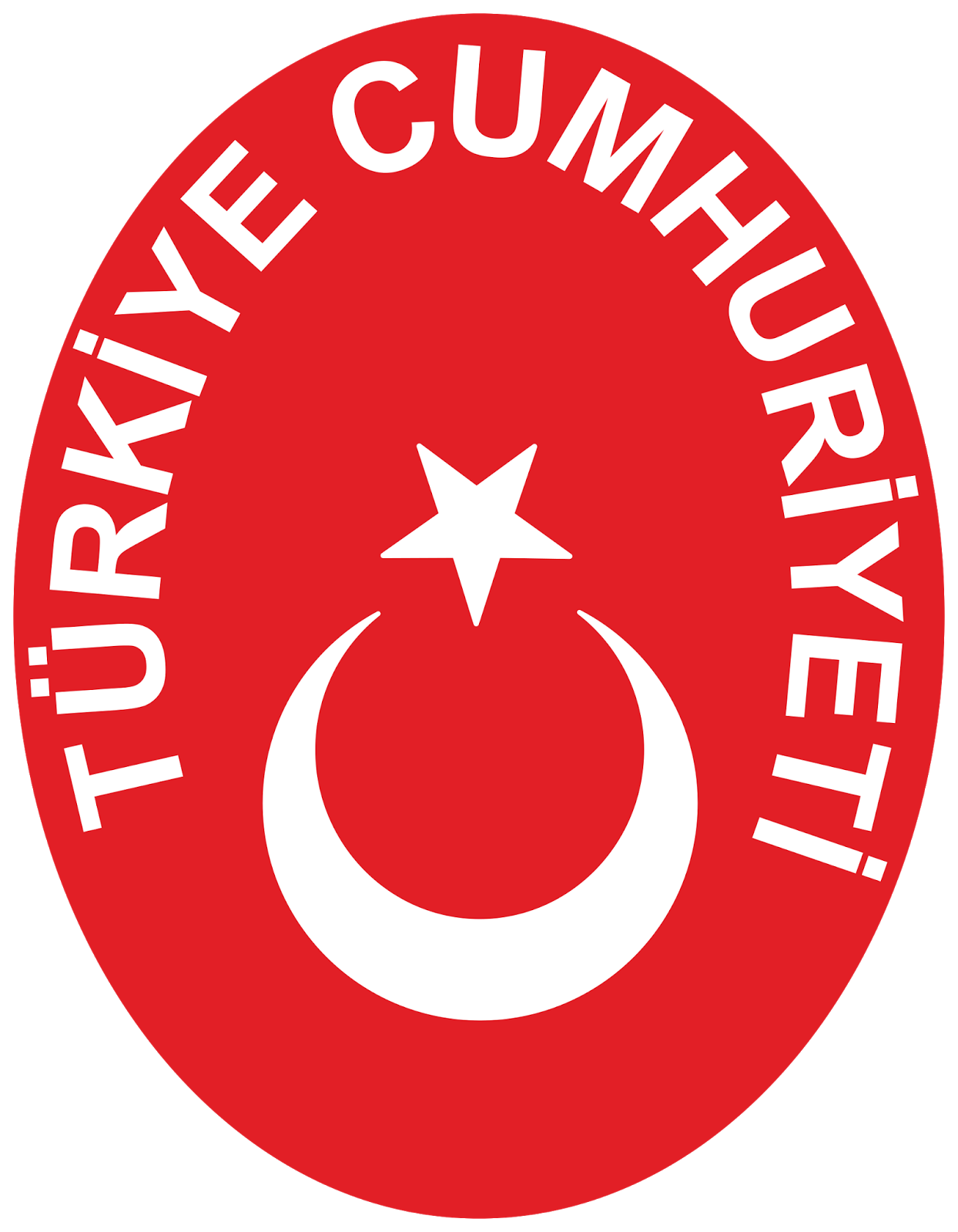 Kenneth Rijock s Financial Crime Blog WHEN TURKEY CENSORS THE INTERNET kenneth-rijock-s-financial-crime-blog-when-turkey-censors-the-internet