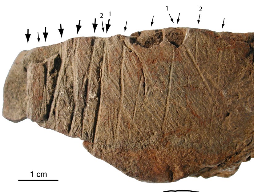 A Place of Brightness: Oldest Human Engraving?