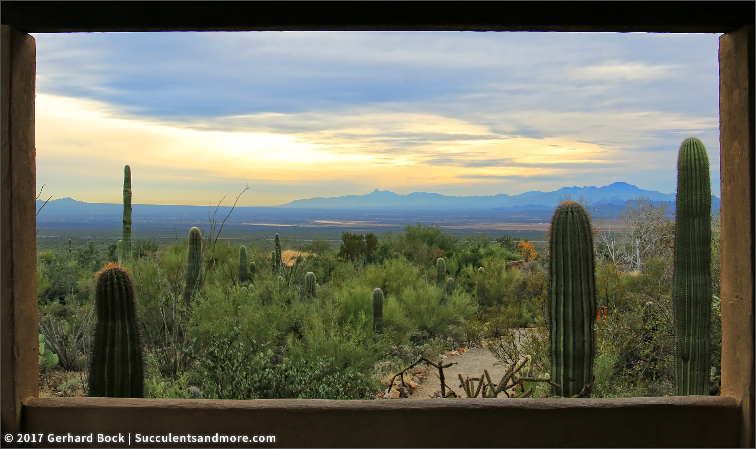 Desert splendor at the Arizona-Sonora Desert Museum, Tucson, AZ