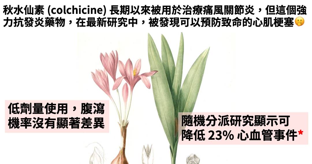 COLCOT研究：低劑量秋水仙素顯著降低再次心肌梗塞風險 (COLCOT Study: Low-dose Colchicine Led to ...