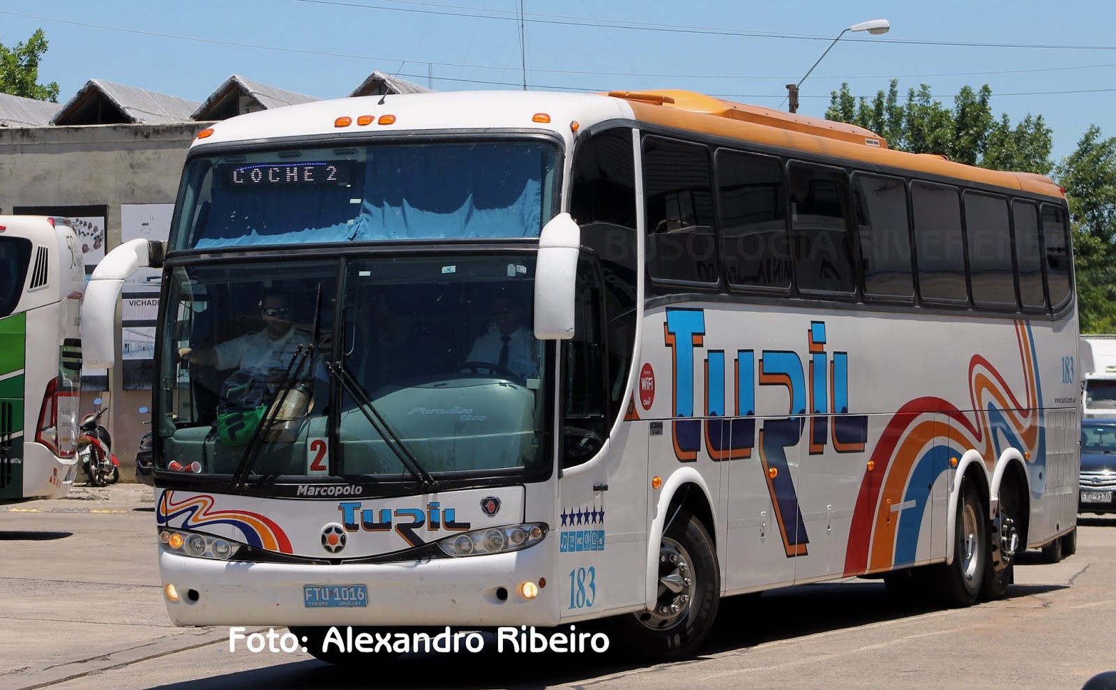 Busologia Riverense: Imagenes varias