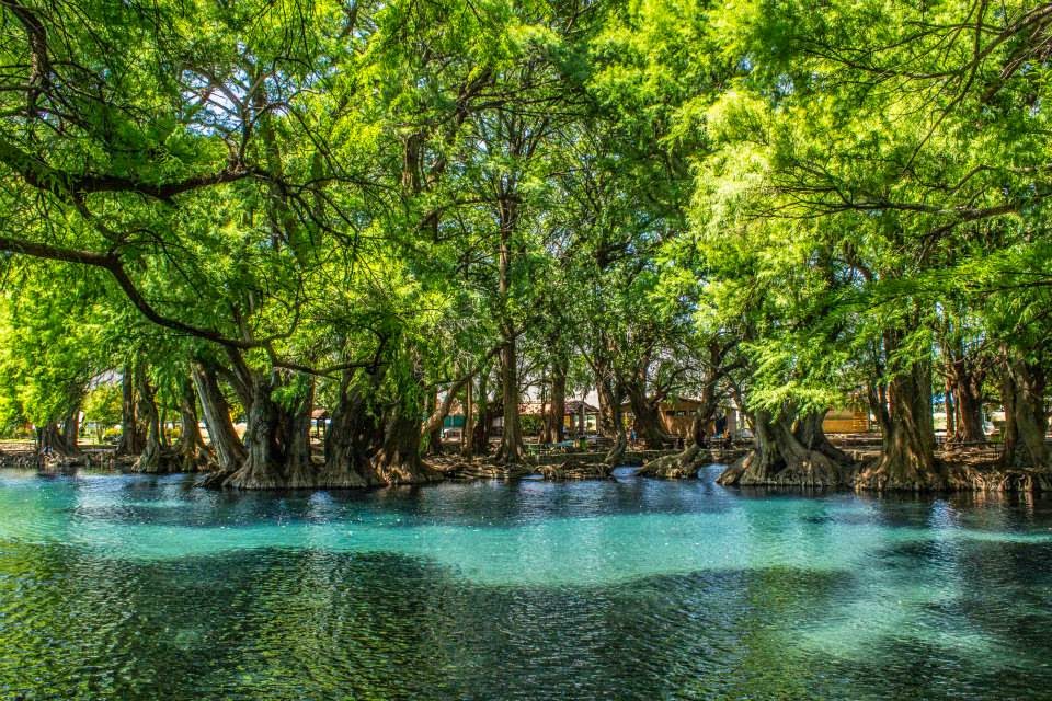 Jaime Ramos Méndez: Parque Nacional Lago de Camécuaro, municipio de ...