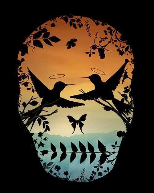 Best Optical Illusions: Skull Illusions