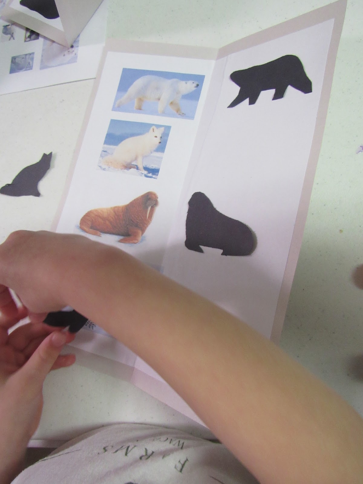 Tots and Me... Growing Up Together: Arctic Animal Fun: Snowy Owl Lesson