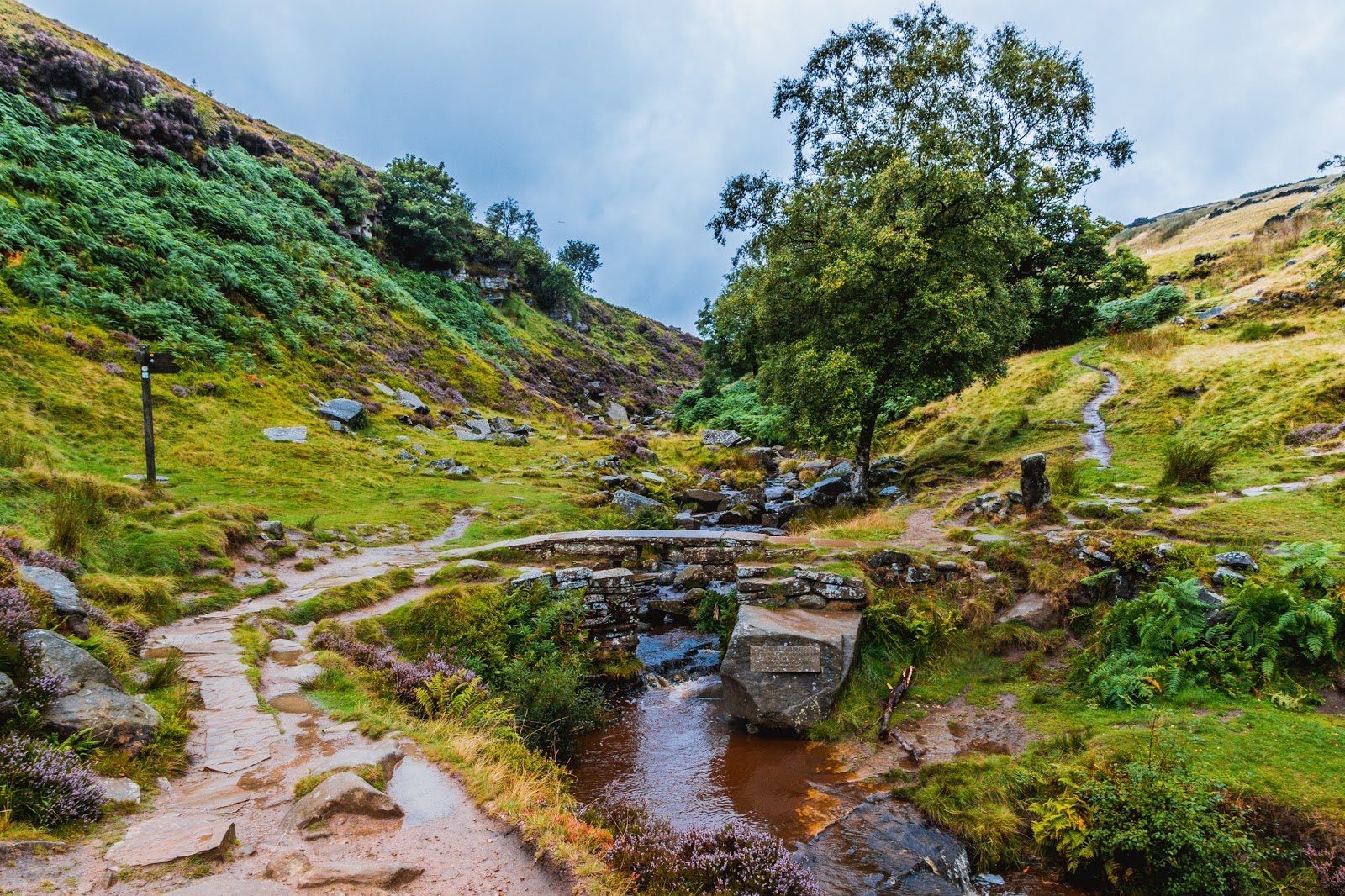 Yorkshire Waterfalls: Bronte Falls