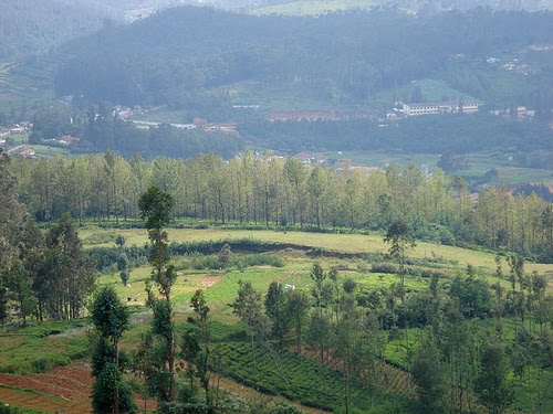 Ooty Hill Station | Ooty Places To Visit