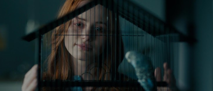 MOVIES: Sightless - Review