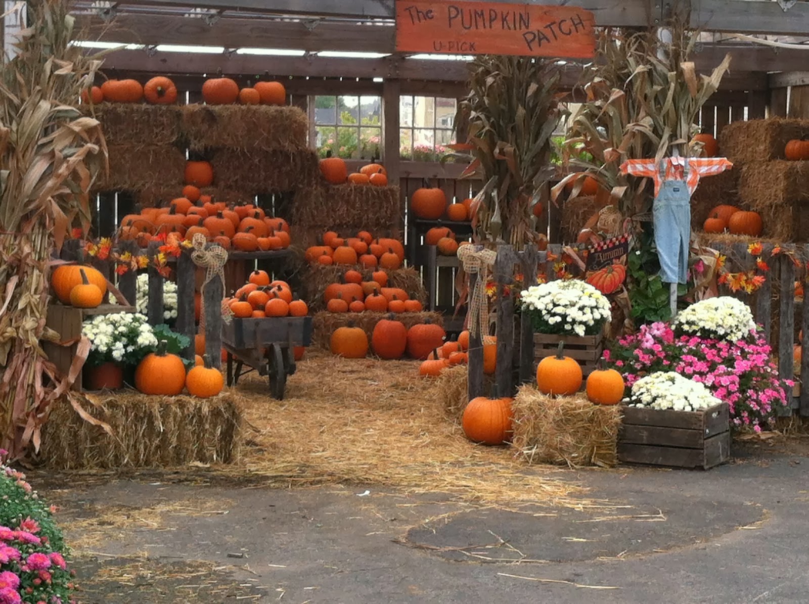 Horton's Home & Garden: 2013 Autumn Market Vendors