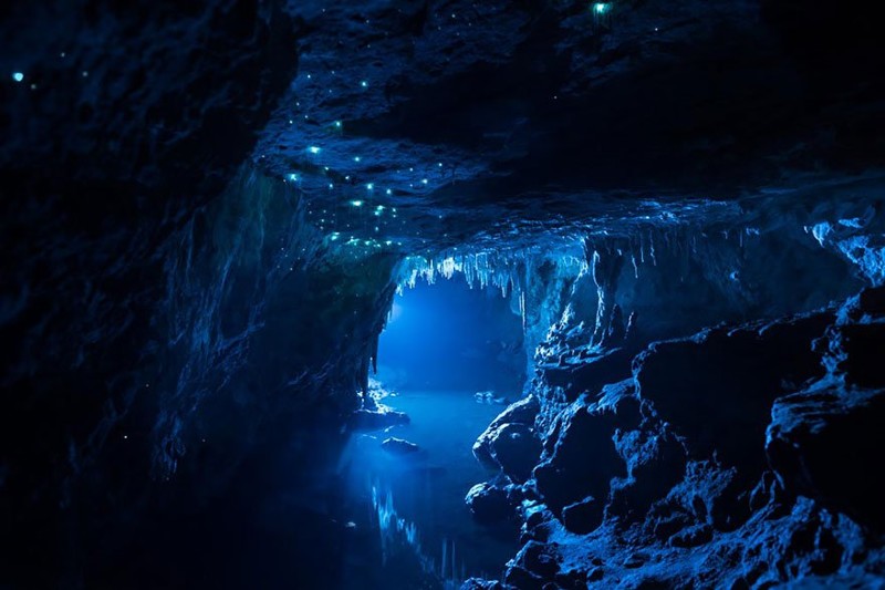 Waitomo Glowworm Caves, New Zealand (with Map & Photos)