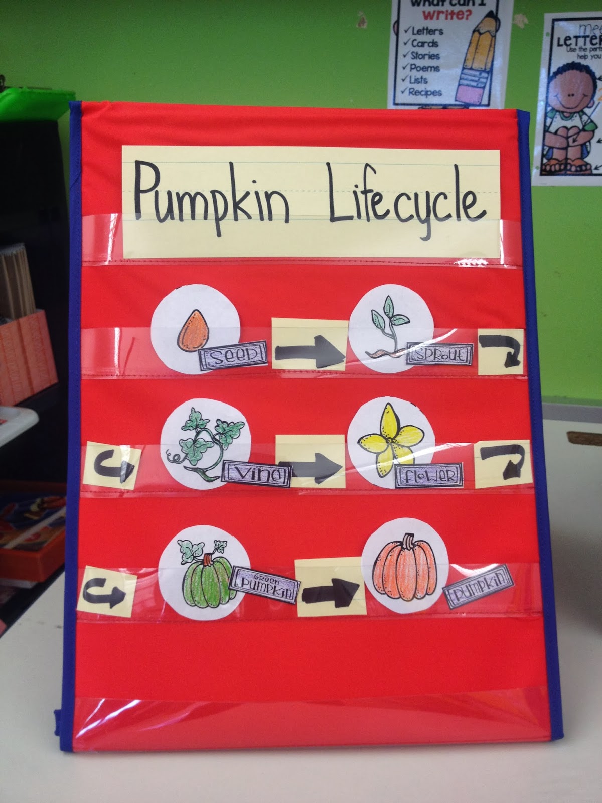 Pumpkin Week in Pictures!