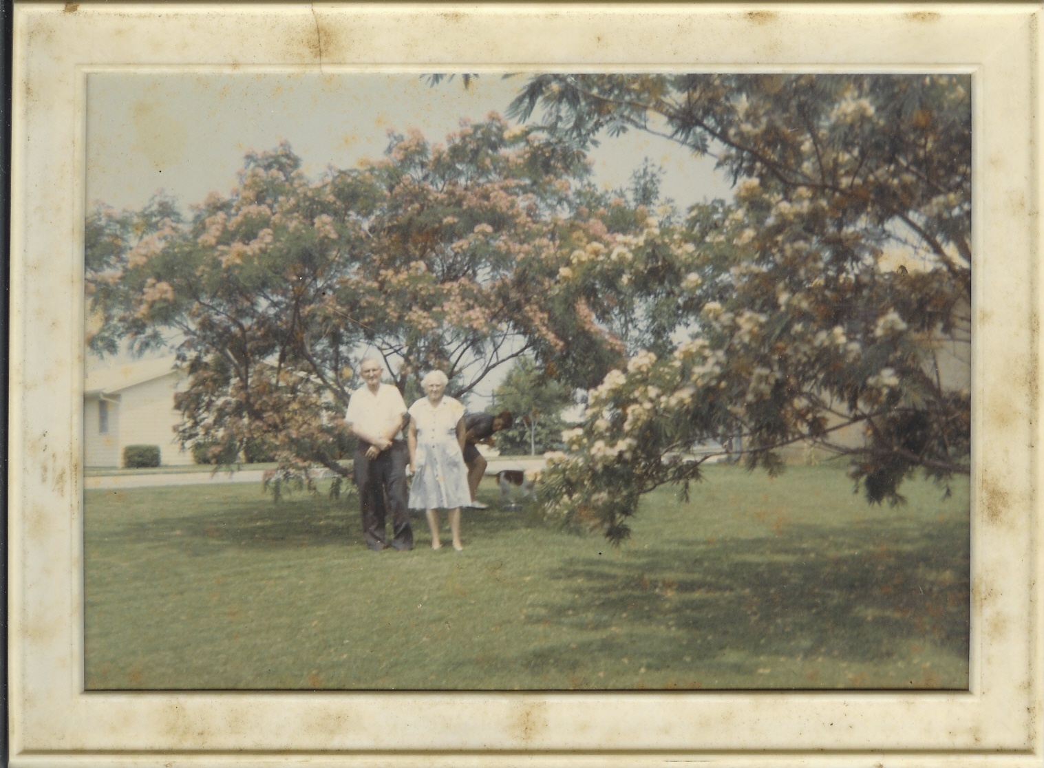 Corkill Family Blog: John Herbert Corkill, Father of Eldon Corkill