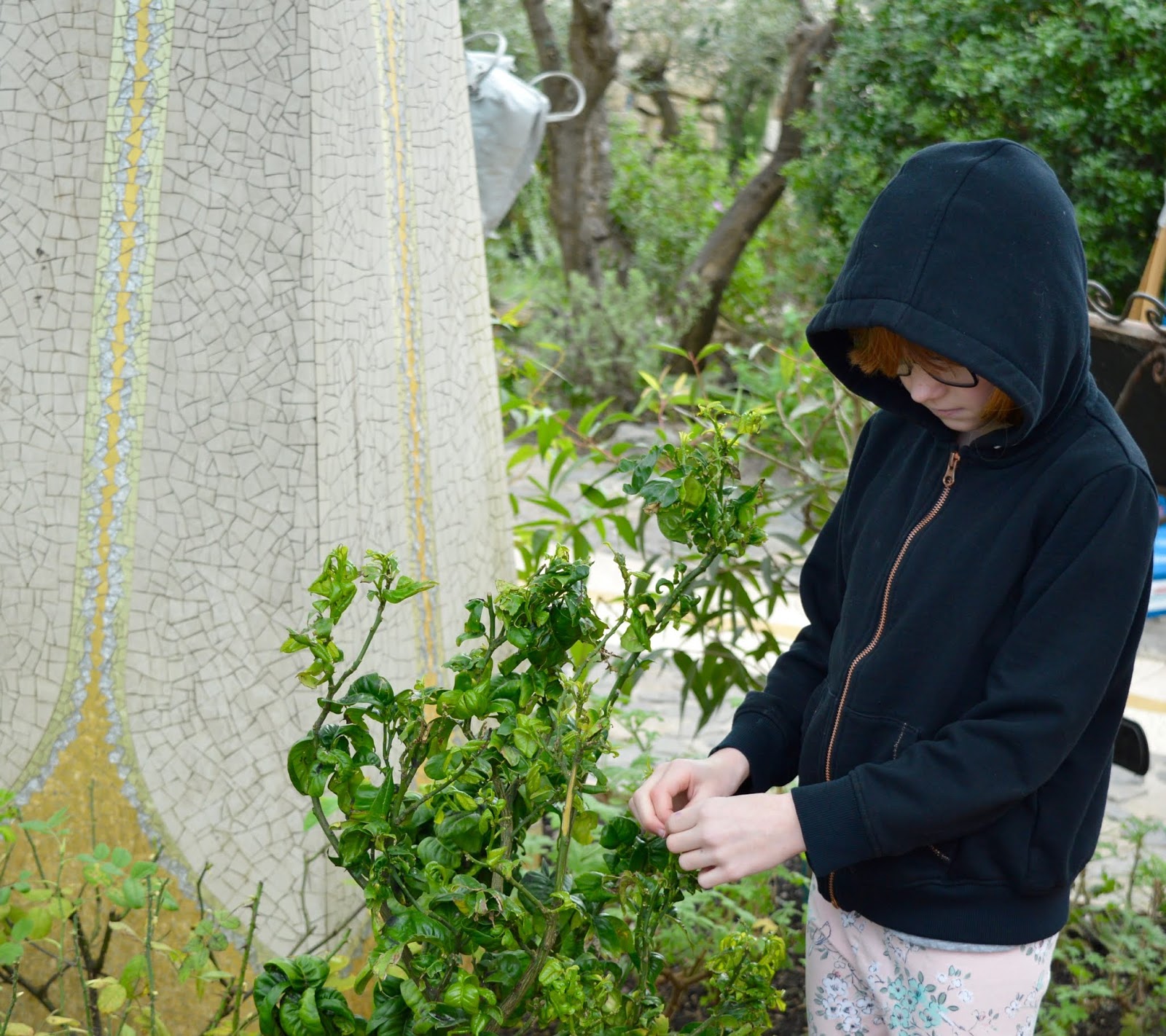 10 Reasons to Visit the Eden Project in Winter | North East Family Fun