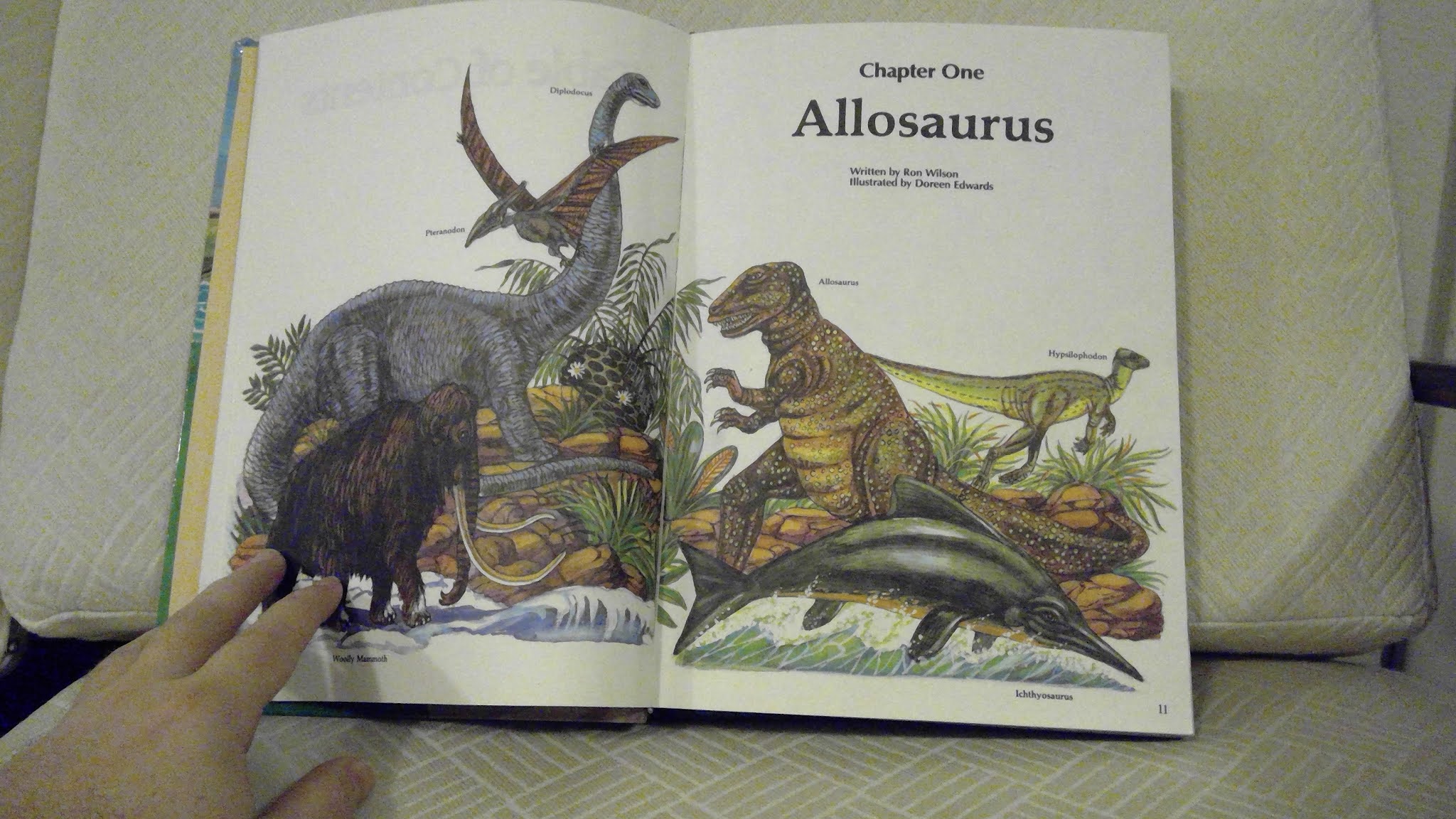 The Trendy Troodon: The Legion of Silly Dinosaurs: 1980s dino books!
