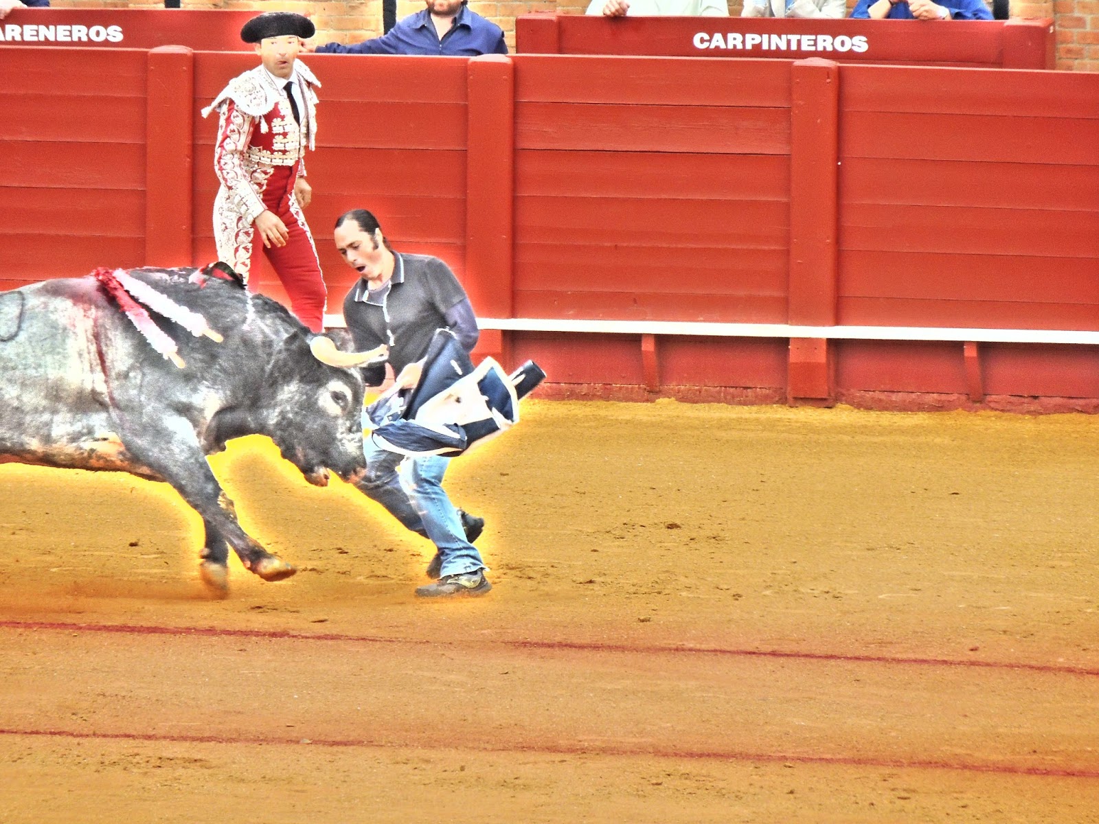 Del toro al infinito: Miuras en Sevilla. ¿Quién es el público y dónde ...