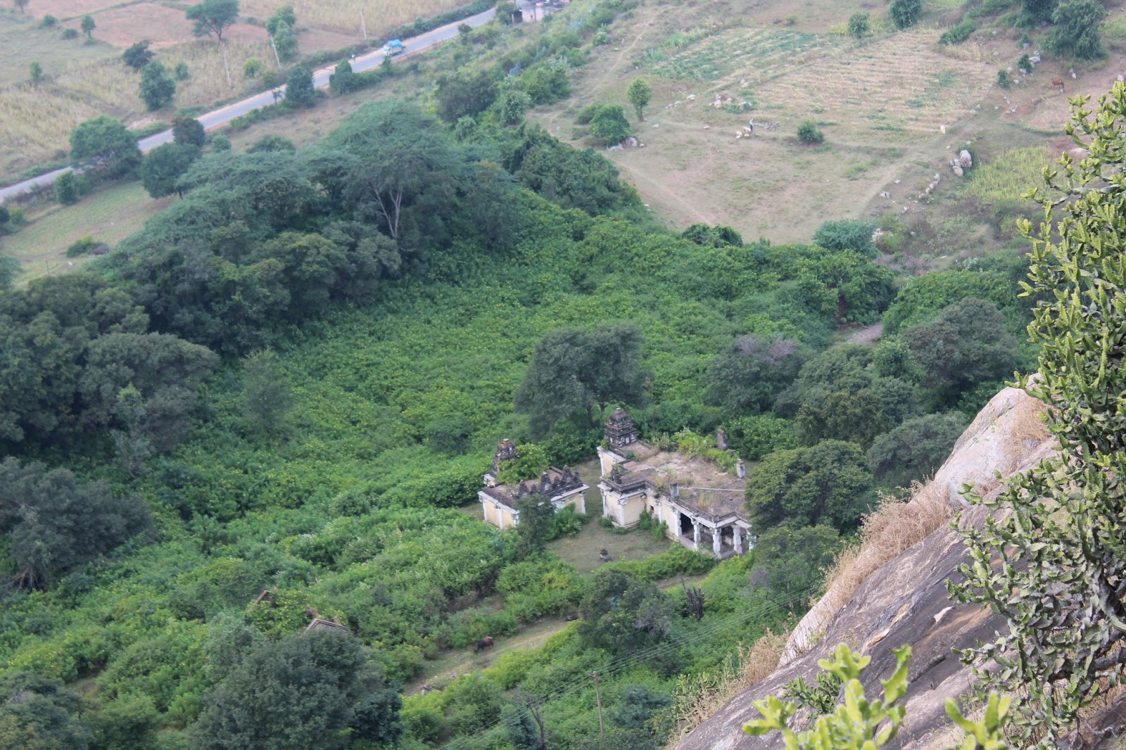 The Travel Reminiscenes: Huliyurdurga: (KumbiBetta Trek) - A Navadurga