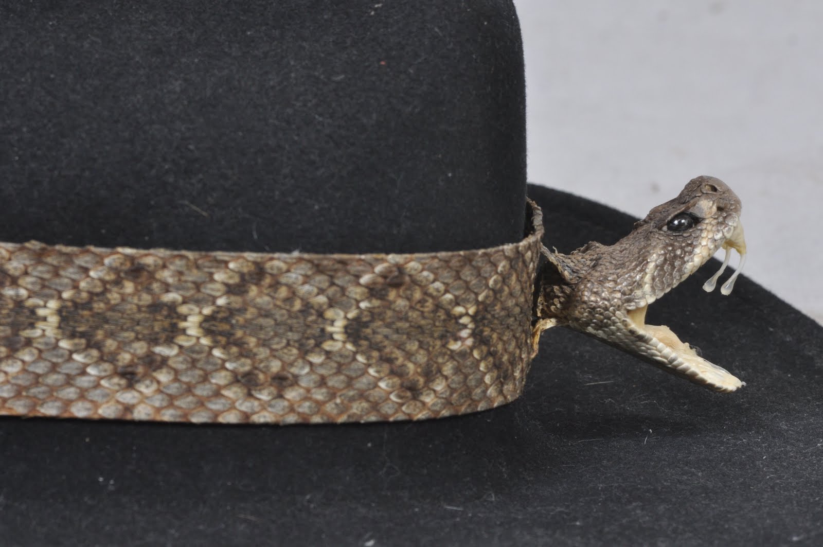The Objects of My Desire...: Vintage Hat with Rattlesnake Band, 15 ...