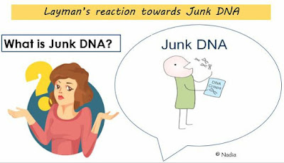 All about Bioinformatics: Bioinformatics Memes