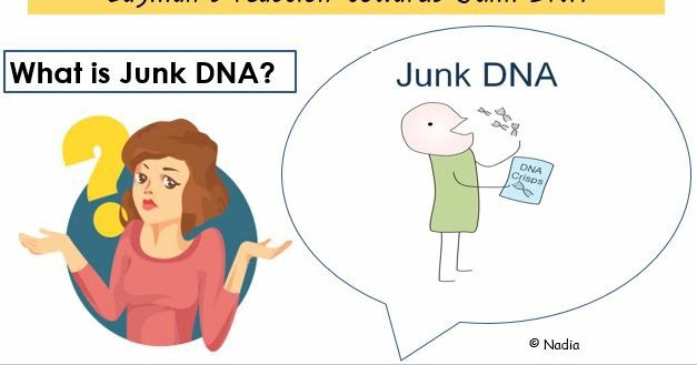 All about Bioinformatics: Bioinformatics Memes