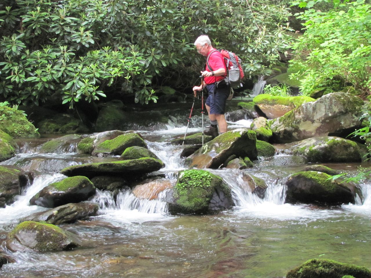 Blue Roads to Hiking Trails: Enloe Creek Trail