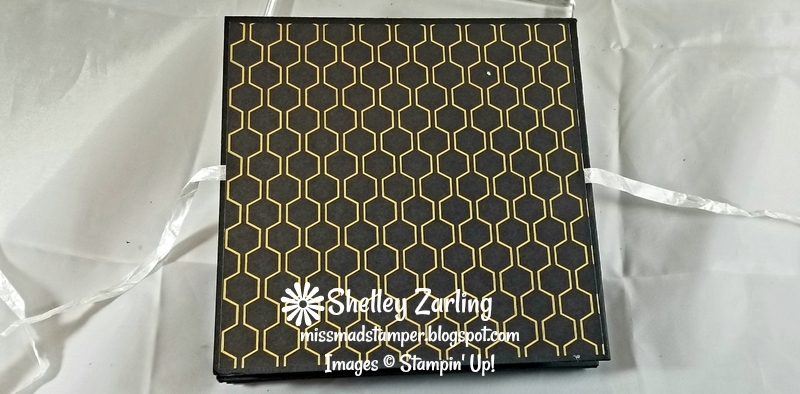 Miss Mad Stamper: Explosion Book Picture Tutorial