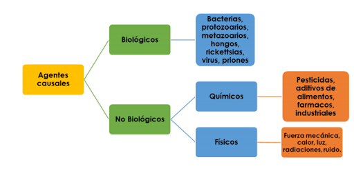 HISTORIA DE LA ENFERMEDAD: HUÉSPED, AGENTE Y MEDIO AMBIENTE