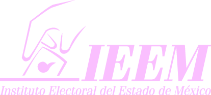 Teotihuacan en línea: Daniella Durán seguirá como presidenta del IEEM