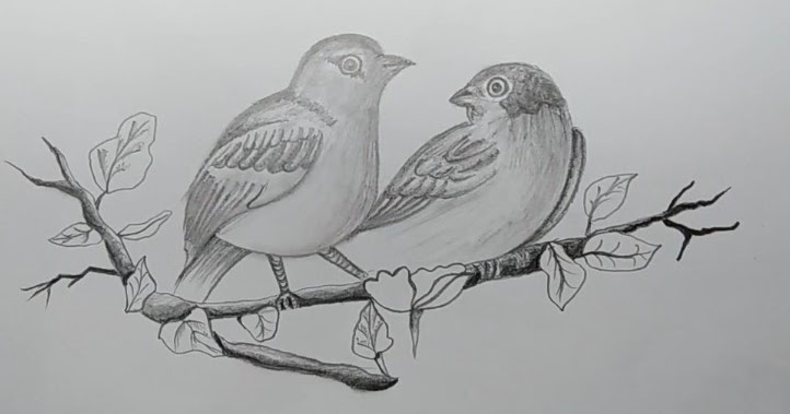 How To Draw A Realistic Bird Step By Step For Beginners How To Draw A Realistic Bird Step By Step For Beginners