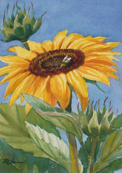Zeh Original Art Blog Watercolor and Oil Paintings: Sunflower and Honey ...
