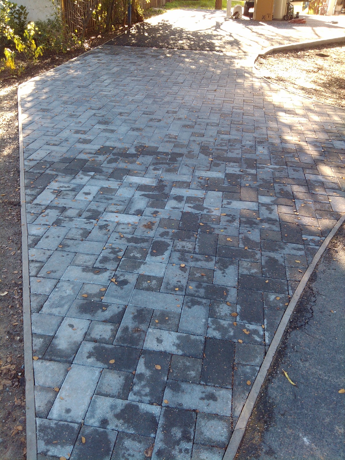 Pacific Interlock Pavingstones: Permeable Pavers prevent tree root upheaval