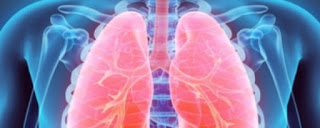 what does sob mean in medical terms