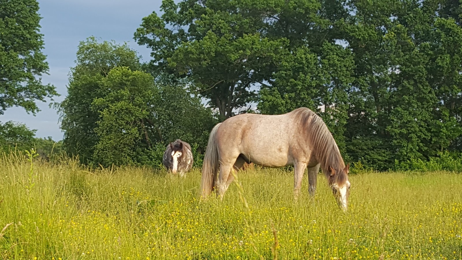 Small But Significant