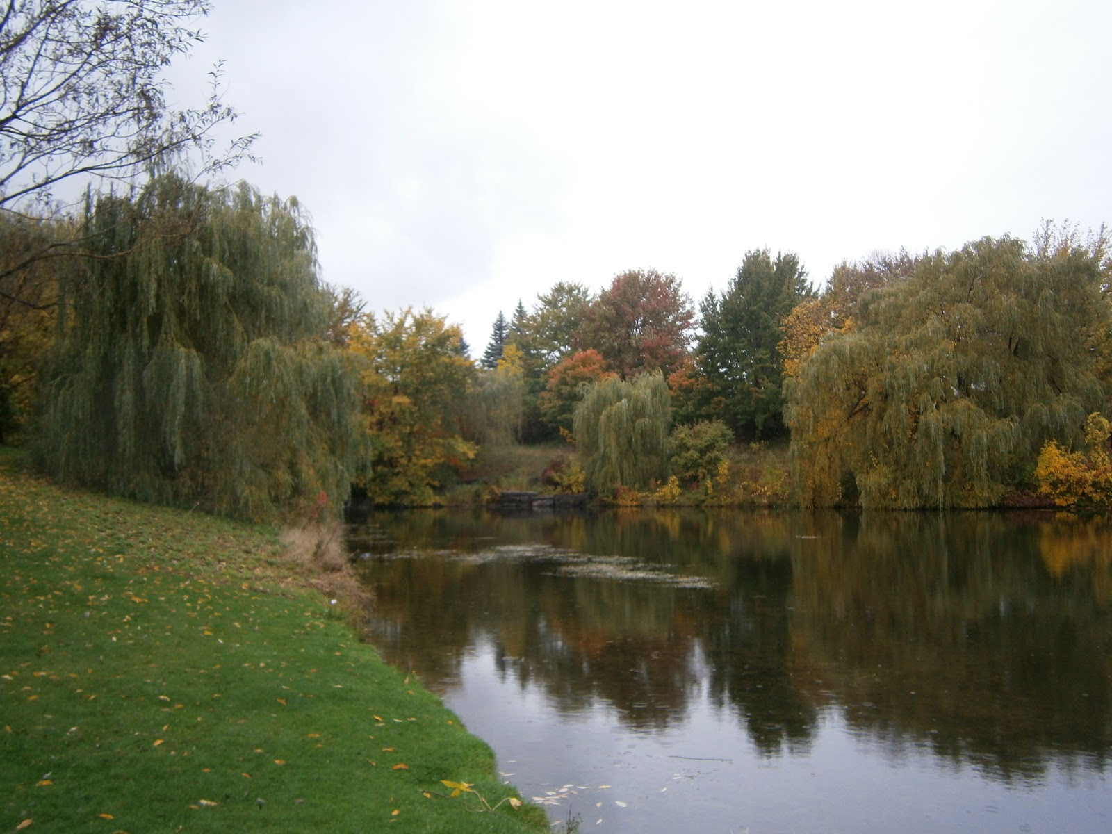 Un grec au Québec: Semaine 12 : Le parc Angrignon