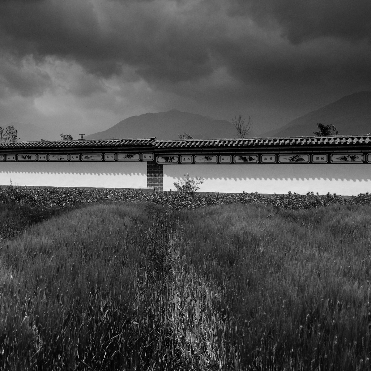 Douglas Beasley Photography