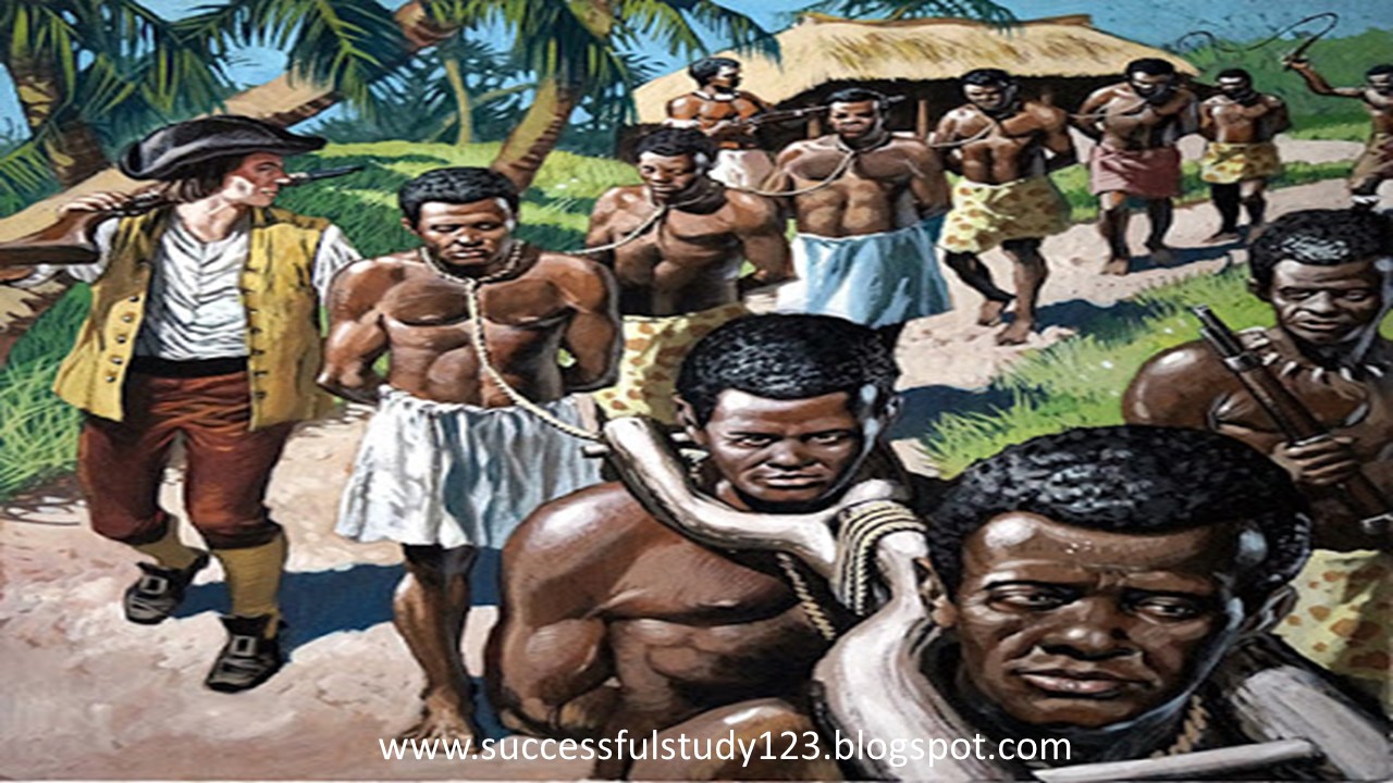 How And Why Did The Slave Trade Start