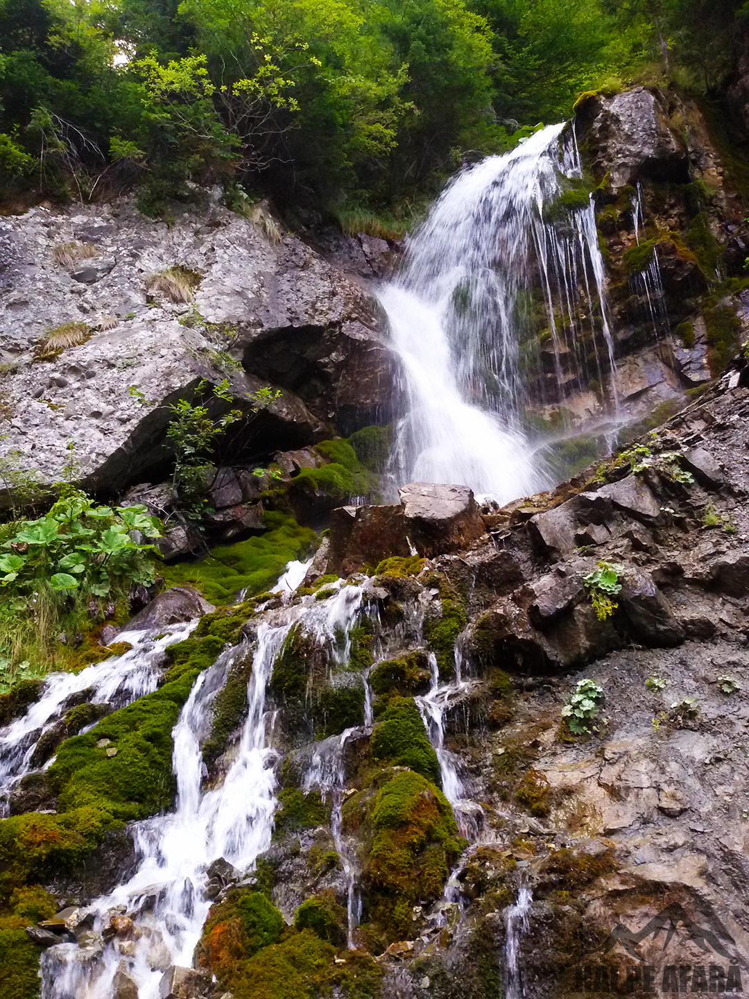 Traseul către Cascada Valea Spumoasă, Bușteni