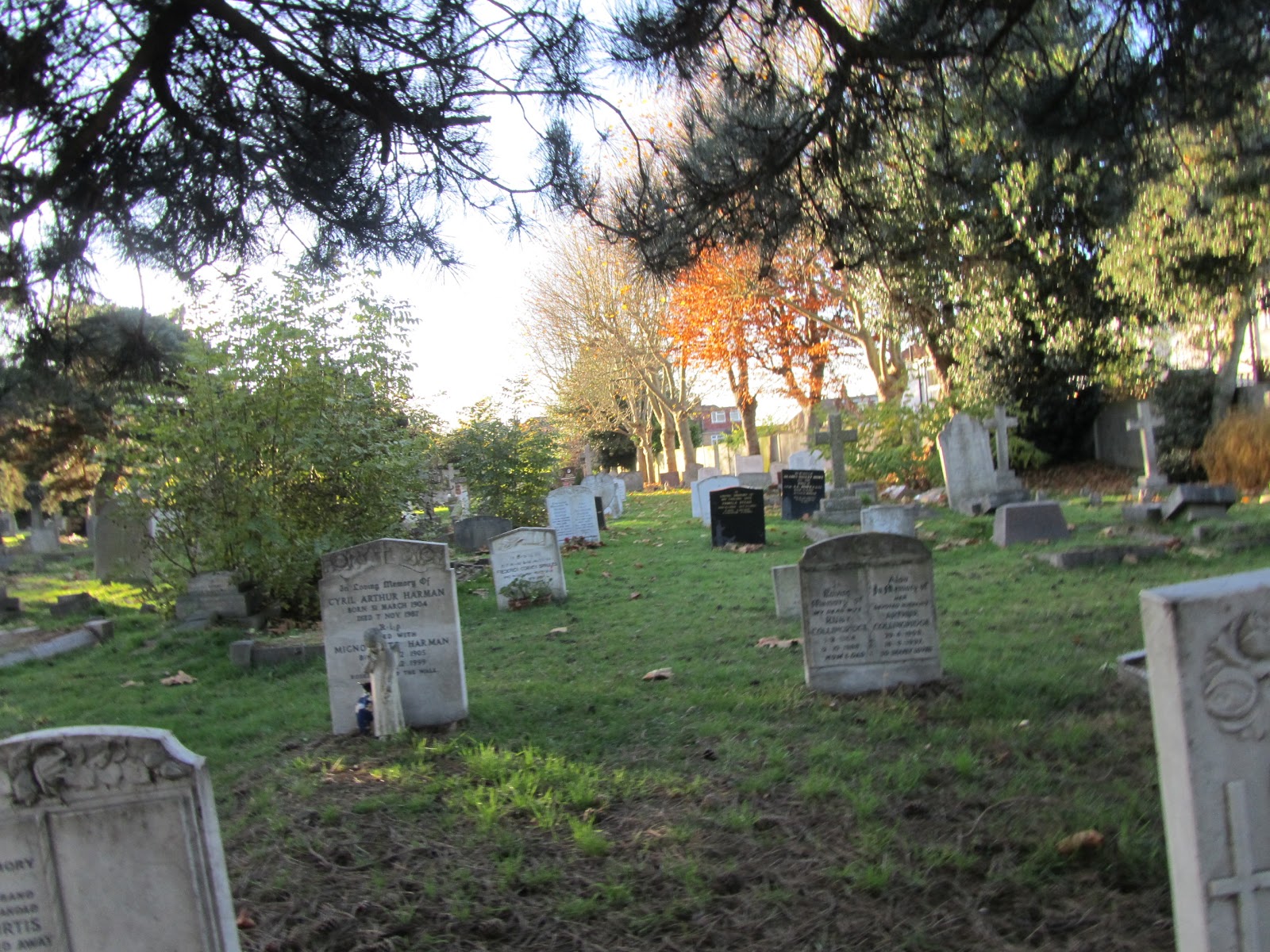 M.E.S.S. Media: Photos of A Graveyard (Location)