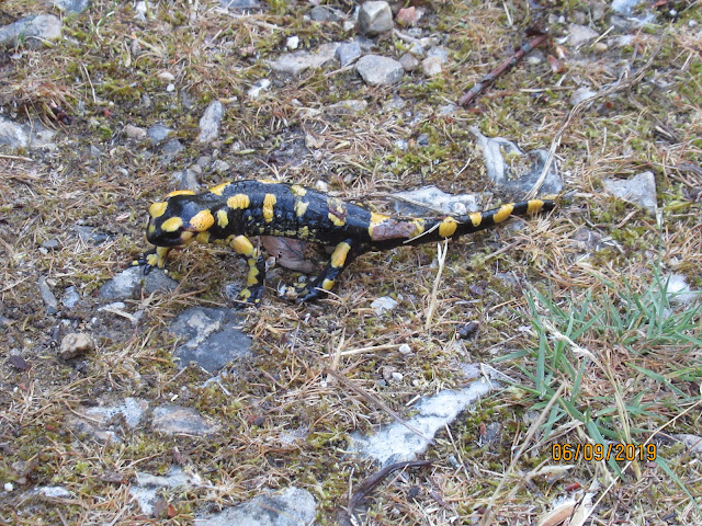 Grandma Goes Coastal: June 10 Salamón to Prioro